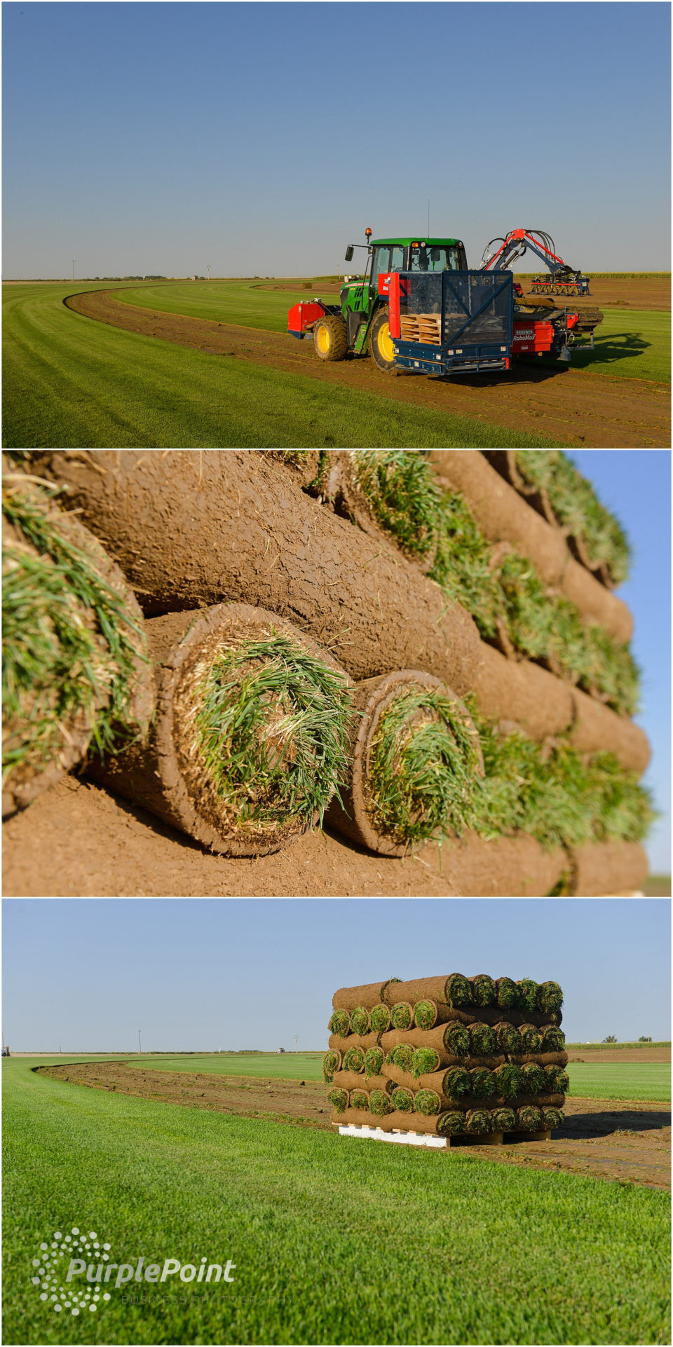 Scienturfic | The story of creating beautiful lawns - Denver Wedding ...