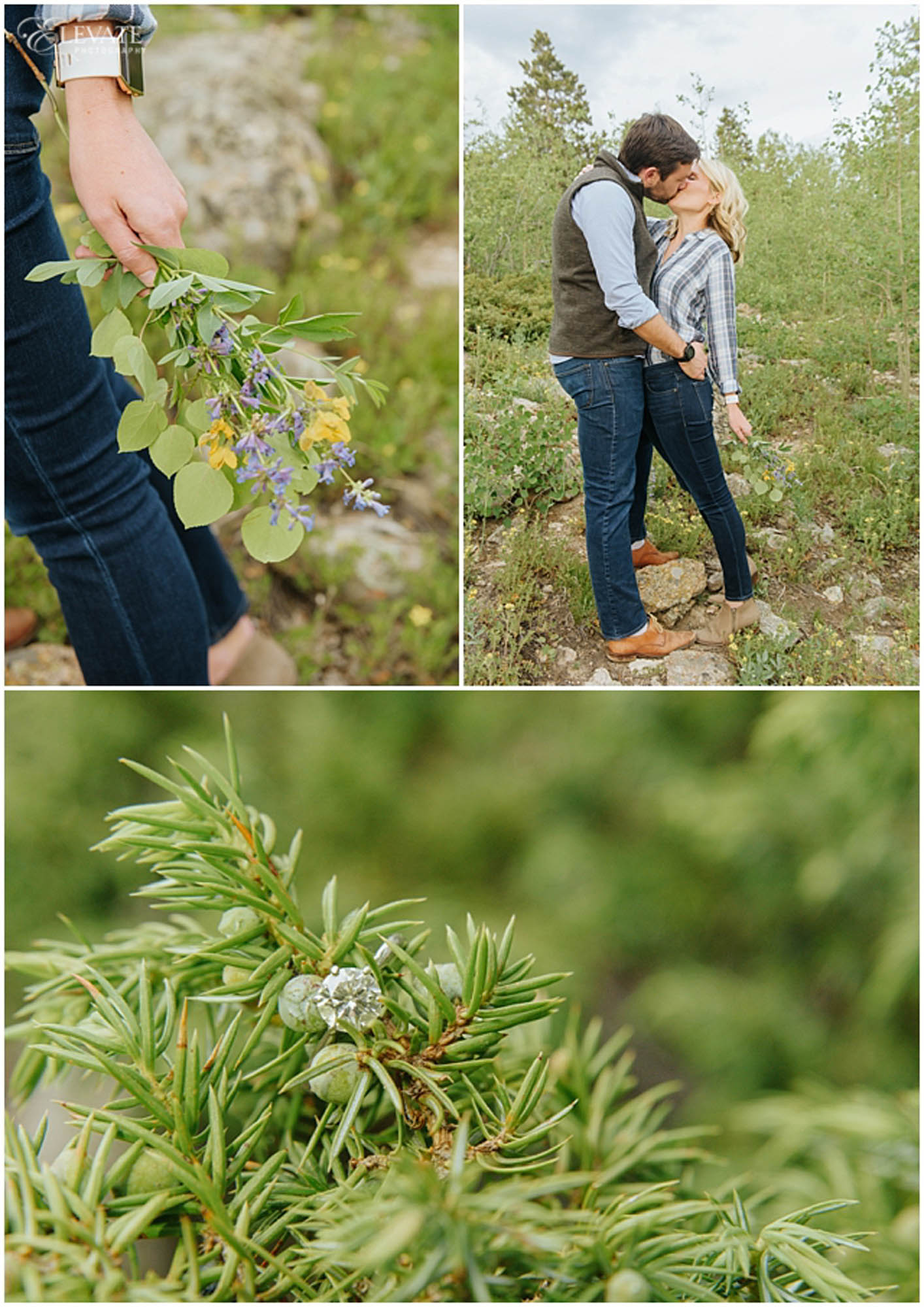Laura + Dan | Golden Gate Canyon State Park Engagement Photos - Denver ...