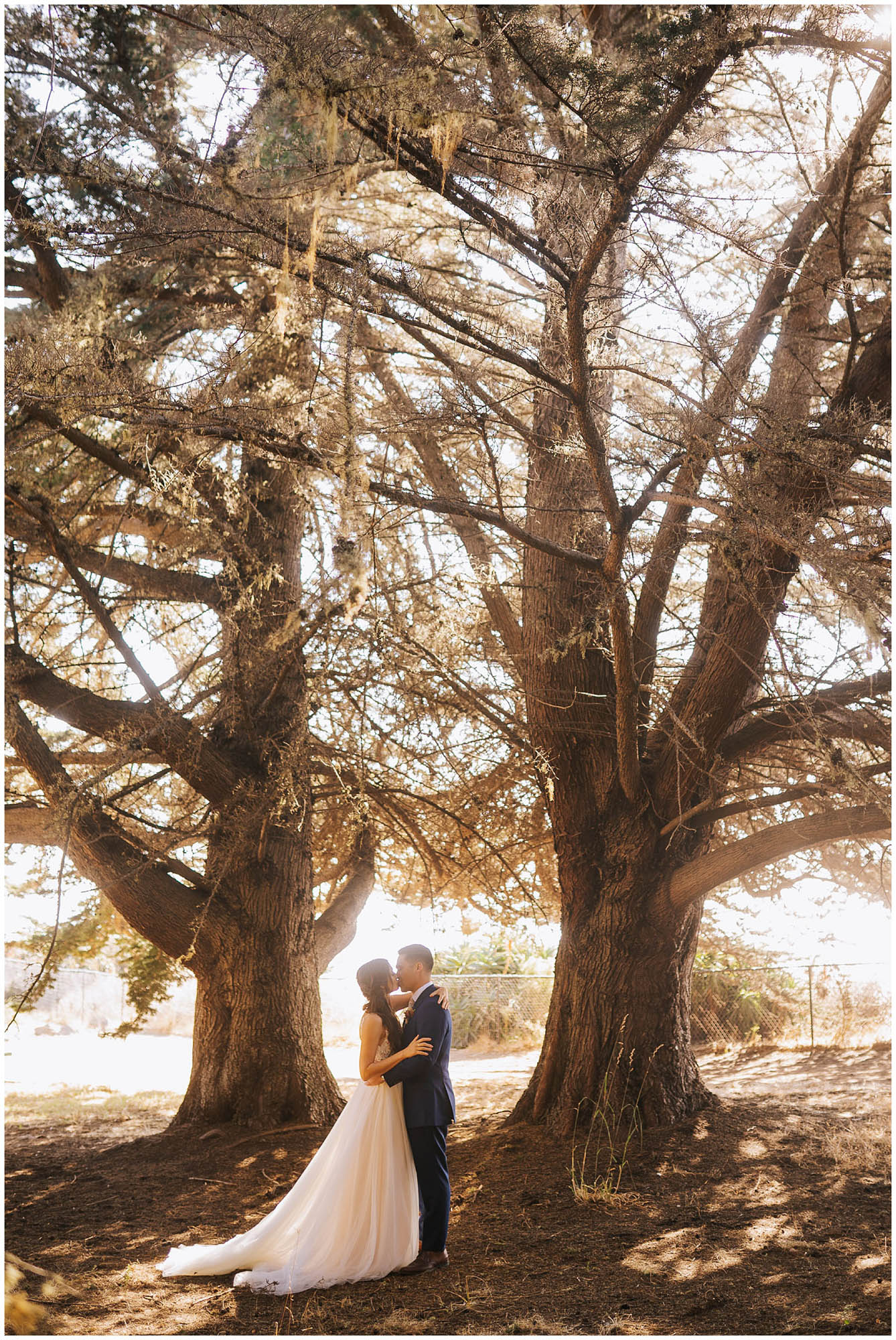 Sierra + Justin | Ragged Point | Big Sur Wedding Photos - Denver ...